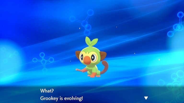 Pokemon Sword and Shield - How To Evolve Grookey Into Thwackey | Attack ...