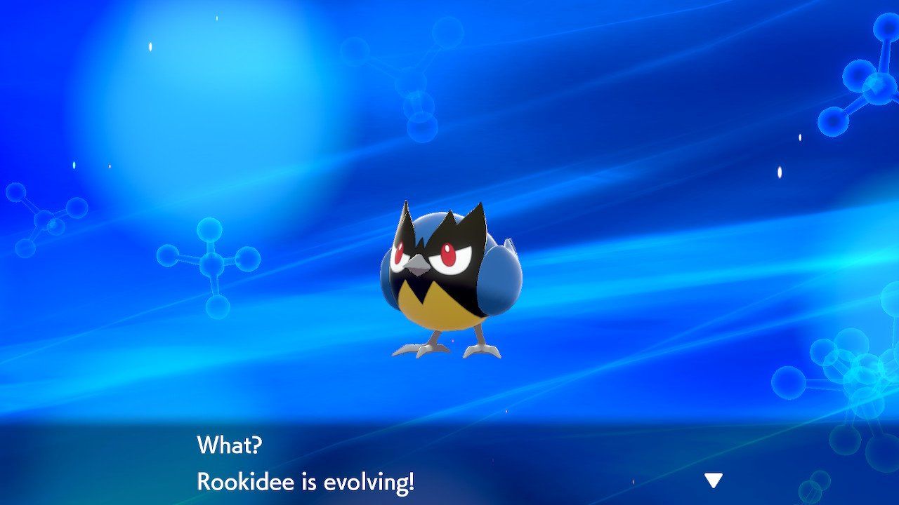 Pokemon Sword and Shield - How To Evolve Rookidee Into Corvisquire ...