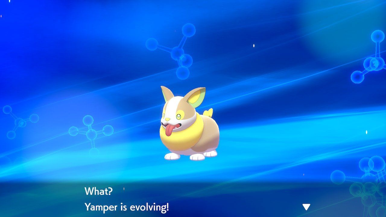 Pokemon Sword and Shield - How To Evolve Yamper Into Boltund | Attack ...