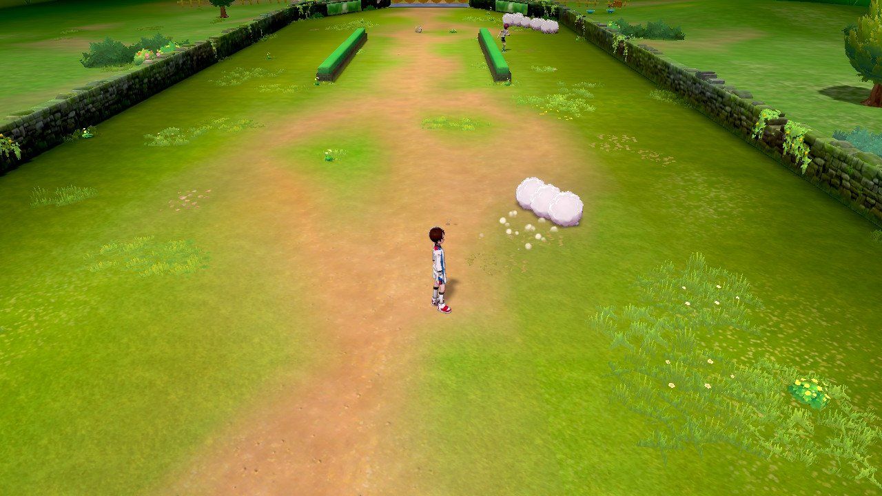 Pokemon Sword and Shield - How To Complete The Turffield Gym Mission ...
