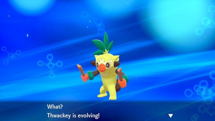 Pokemon Sword and Shield - How To Evolve Thwackey Into Rillaboom ...