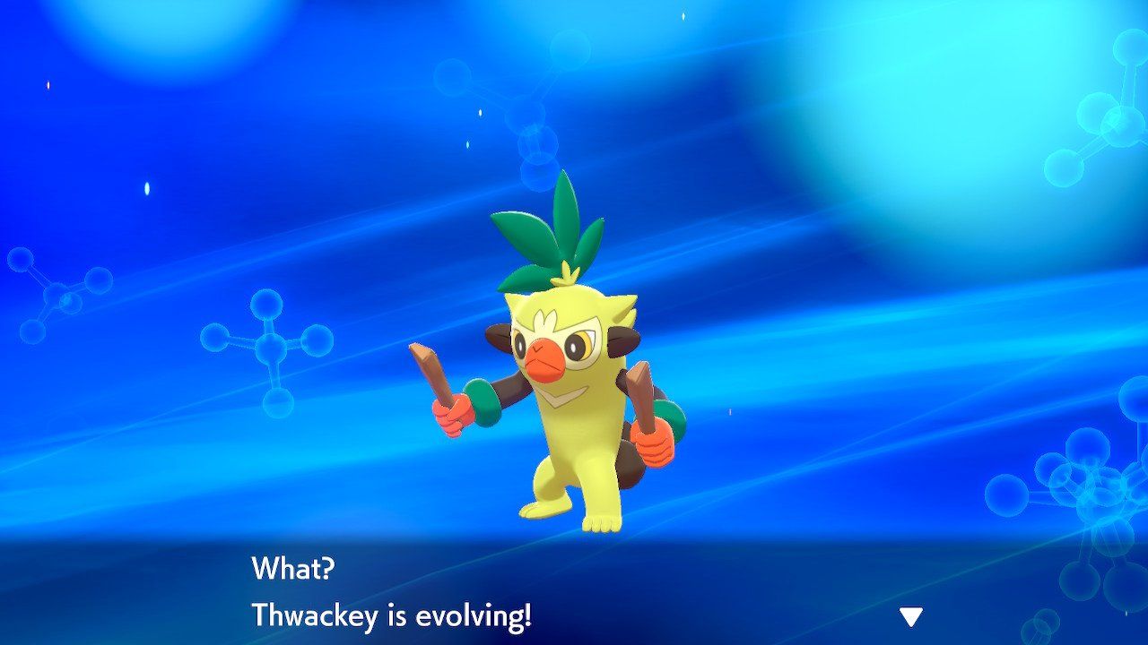 Pokemon Sword and Shield - How To Evolve Thwackey Into Rillaboom ...