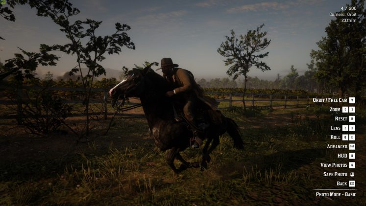 Red Dead Redemption 2 PC - How to Use Photo Mode | Attack of the Fanboy