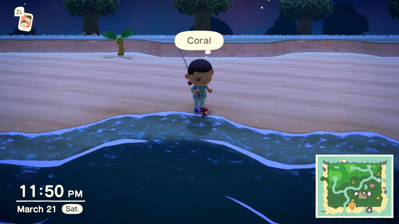 Animal Crossing: New Horizons - Shell Prices Guide | Attack of the Fanboy