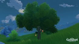 Genshin Impact Cuihua Wood Locations - Where to Find Cuihua Trees ...