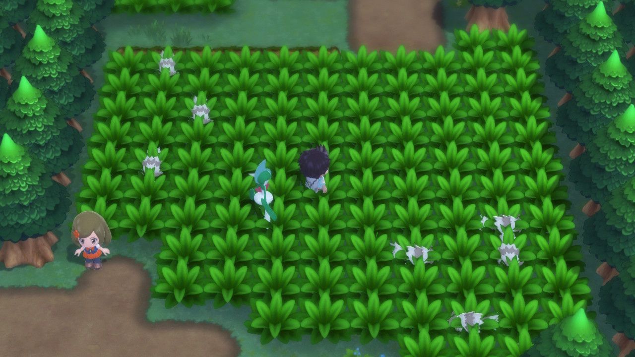 Swarms in BDSP: How to Catch Swarm Pokémon in Brilliant Diamond and ...