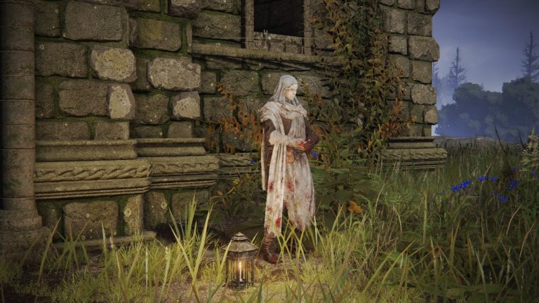 Elden Ring: They Didn't Seem Right or They Were Magnificent Choice ...