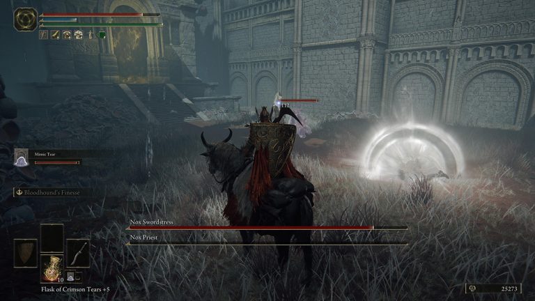 Nox Swordstess and Priest Boss Guide: How to Beat the Nox Swordstress ...