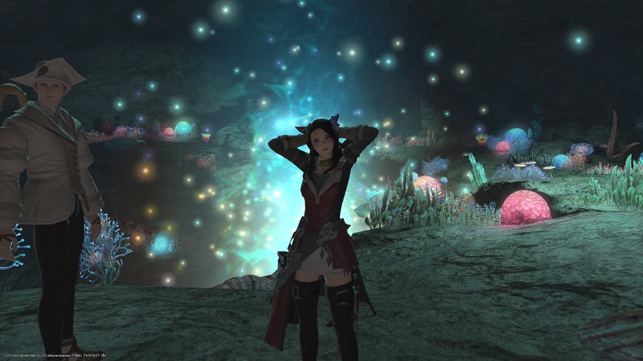 FFXIV Duty Support System Explained: How to Use NPC Allies in Dungeons ...