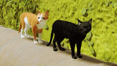 Best Mods for Stray | Attack of the Fanboy