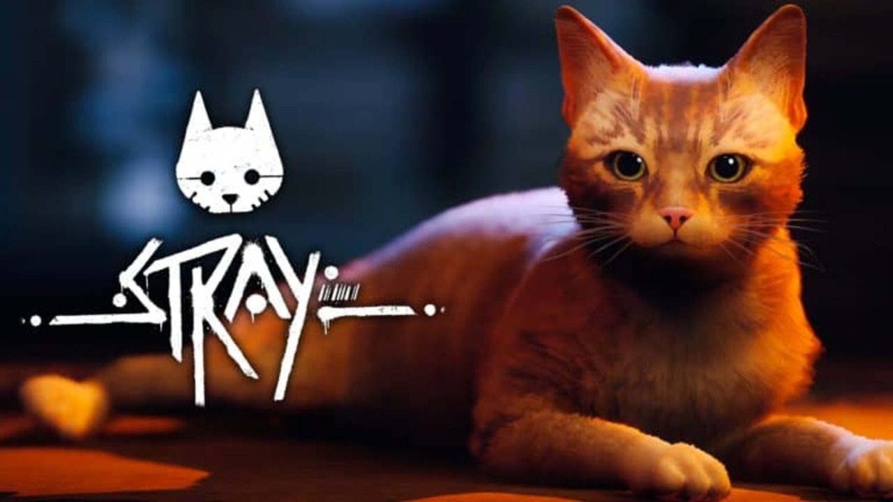 All Stray System Requirements - Minimum and Recommended Specs for Stray ...