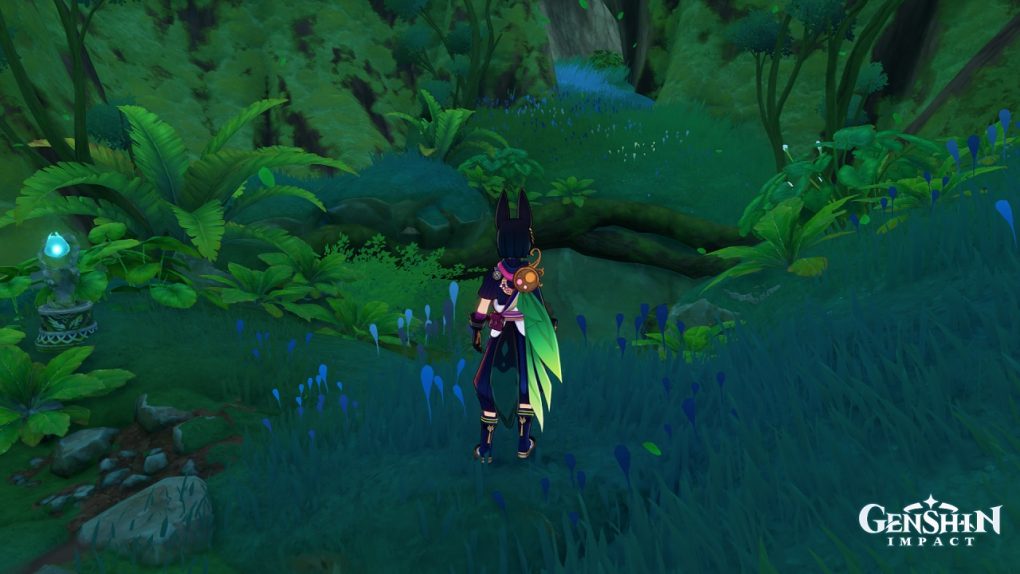 Genshin Impact: How to Unlock Apam Woods Underground Teleport Waypoint ...