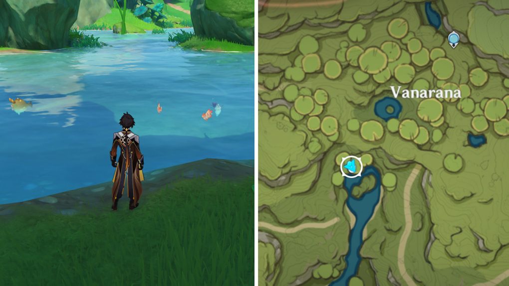 All Fishing Spot Locations in Sumeru in Genshin Impact | Attack of the ...