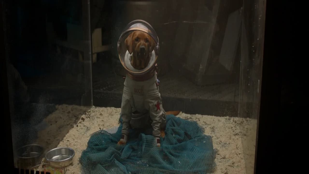 Who is Cosmo the Space Dog in The Guardians of the Galaxy Holiday ...