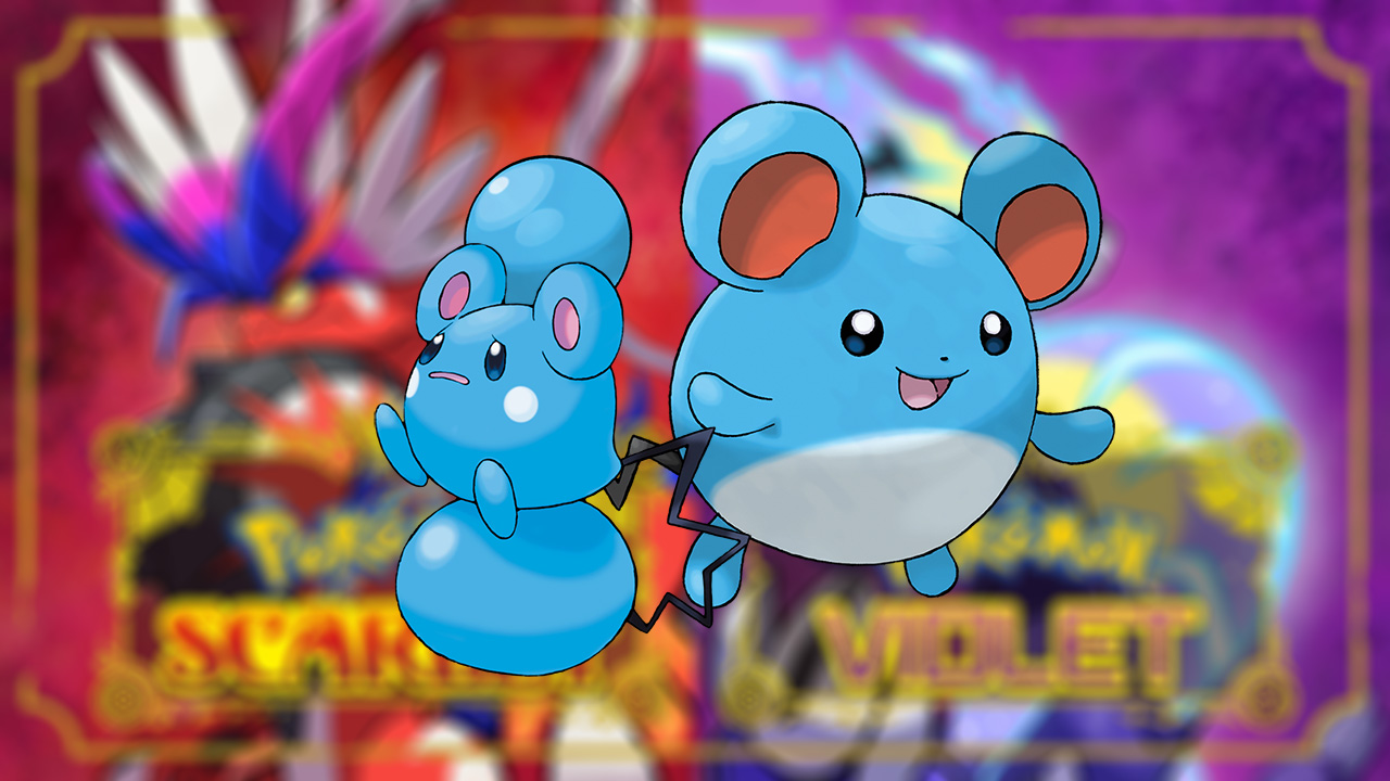 How to Evolve Azurill into Marill in Pokémon Scarlet and Violet ...
