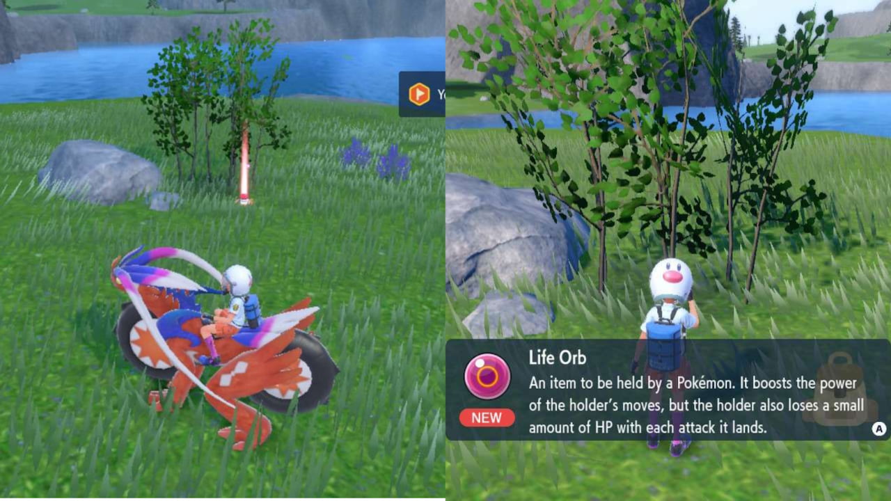 Where to Find Life Orb in Pokemon Scarlet and Violet | Attack of the Fanboy