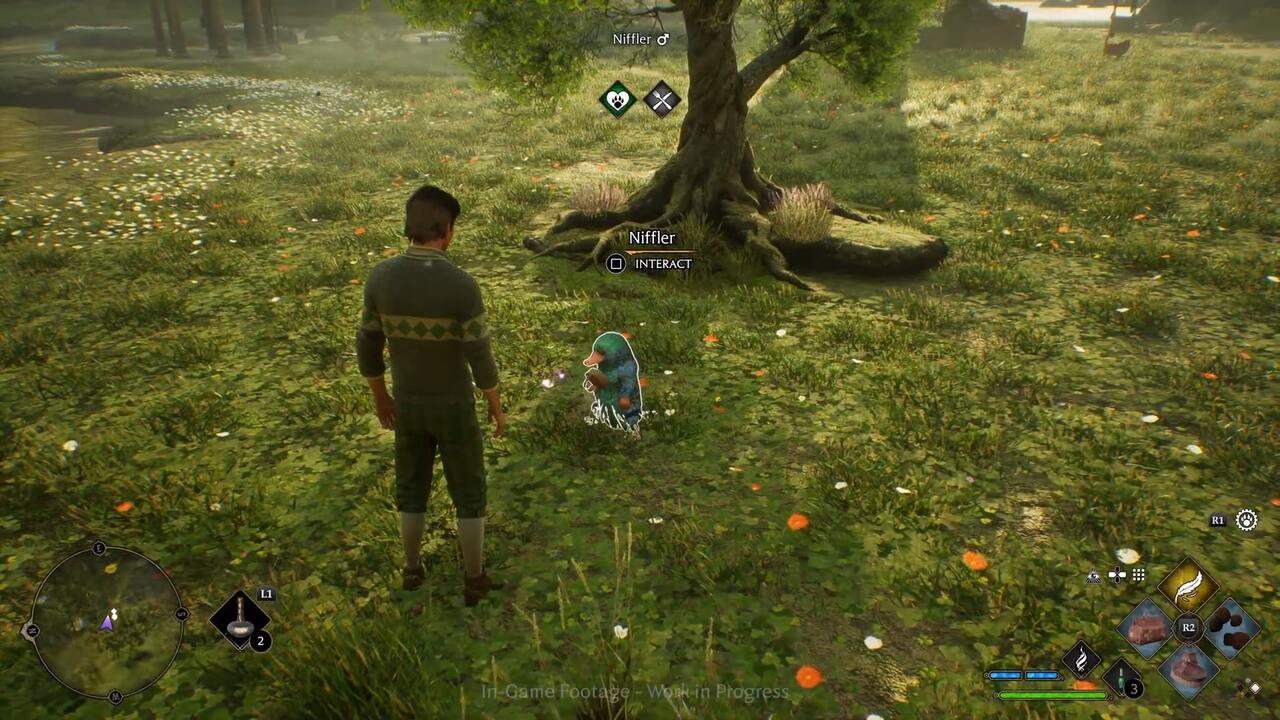 Hogwarts Legacy Includes a Beast Rescue Farm-Sim | Attack of the Fanboy