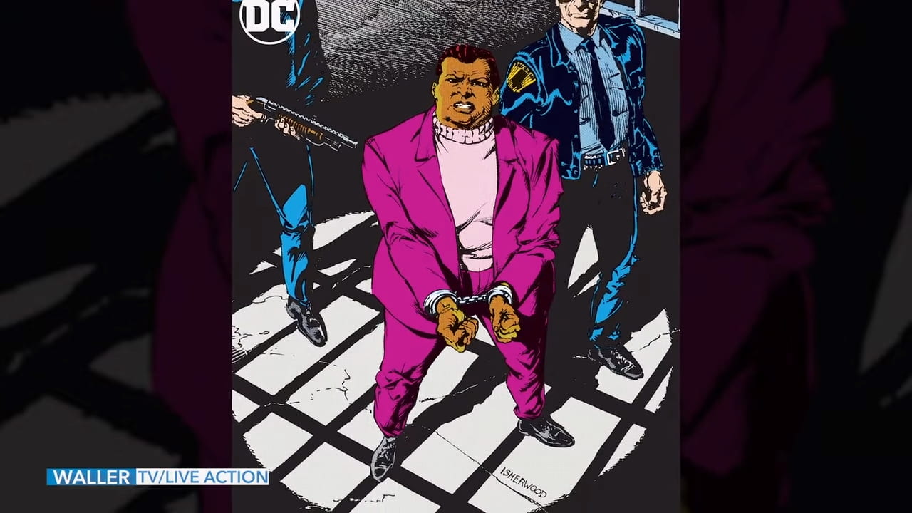 Viola Davis To Return as Amanda Waller in DCU | Attack of the Fanboy
