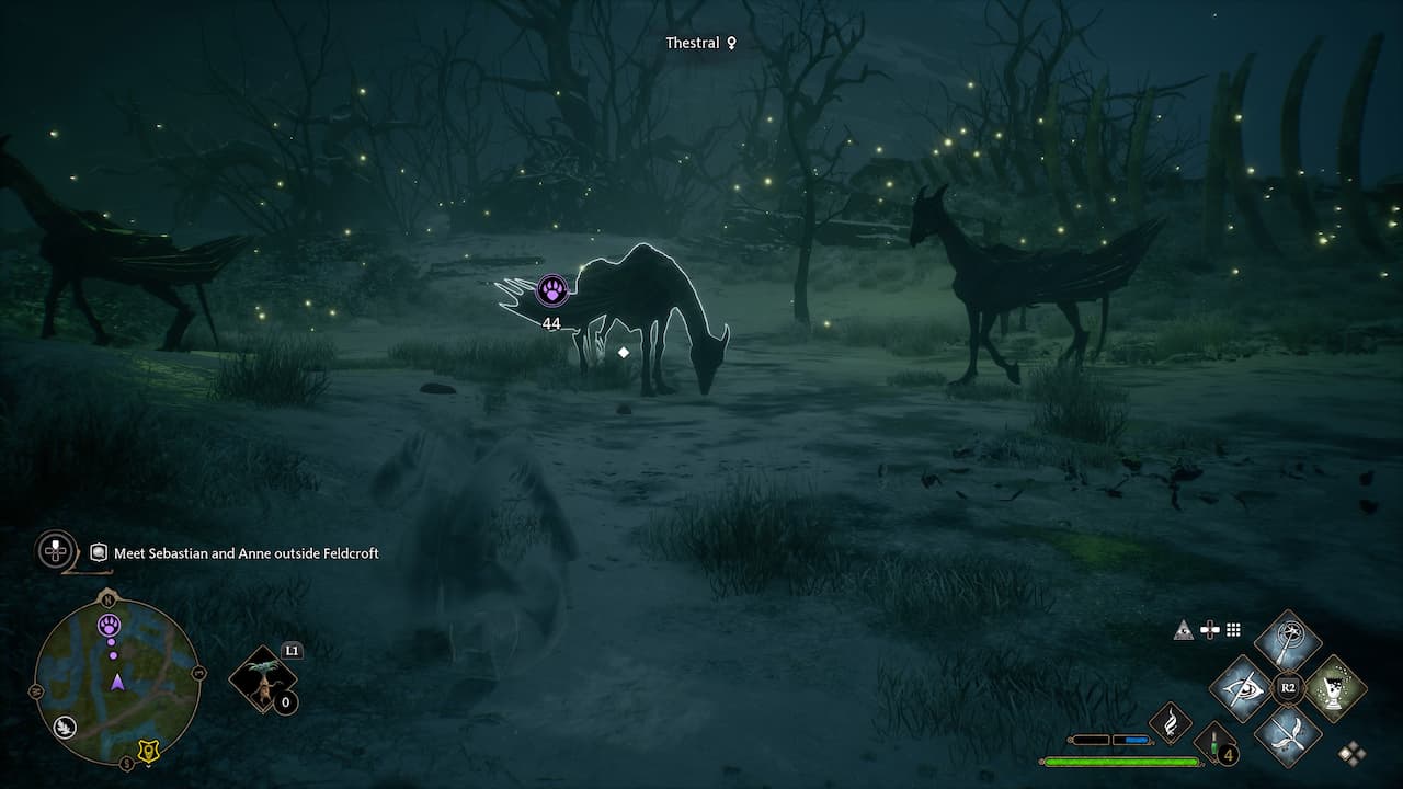 Hogwarts Legacy: How to Catch a Thestral (Male vs. Female), Explained ...