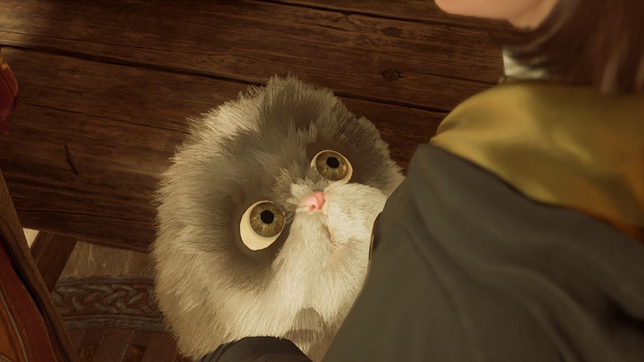 How to Increase the Species Limit in the Vivarium in Hogwarts Legacy ...