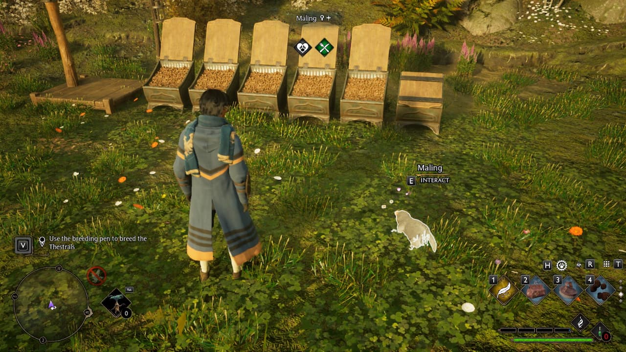 PSA: You Can Name Your Beasts in Hogwarts Legacy | Attack of the Fanboy