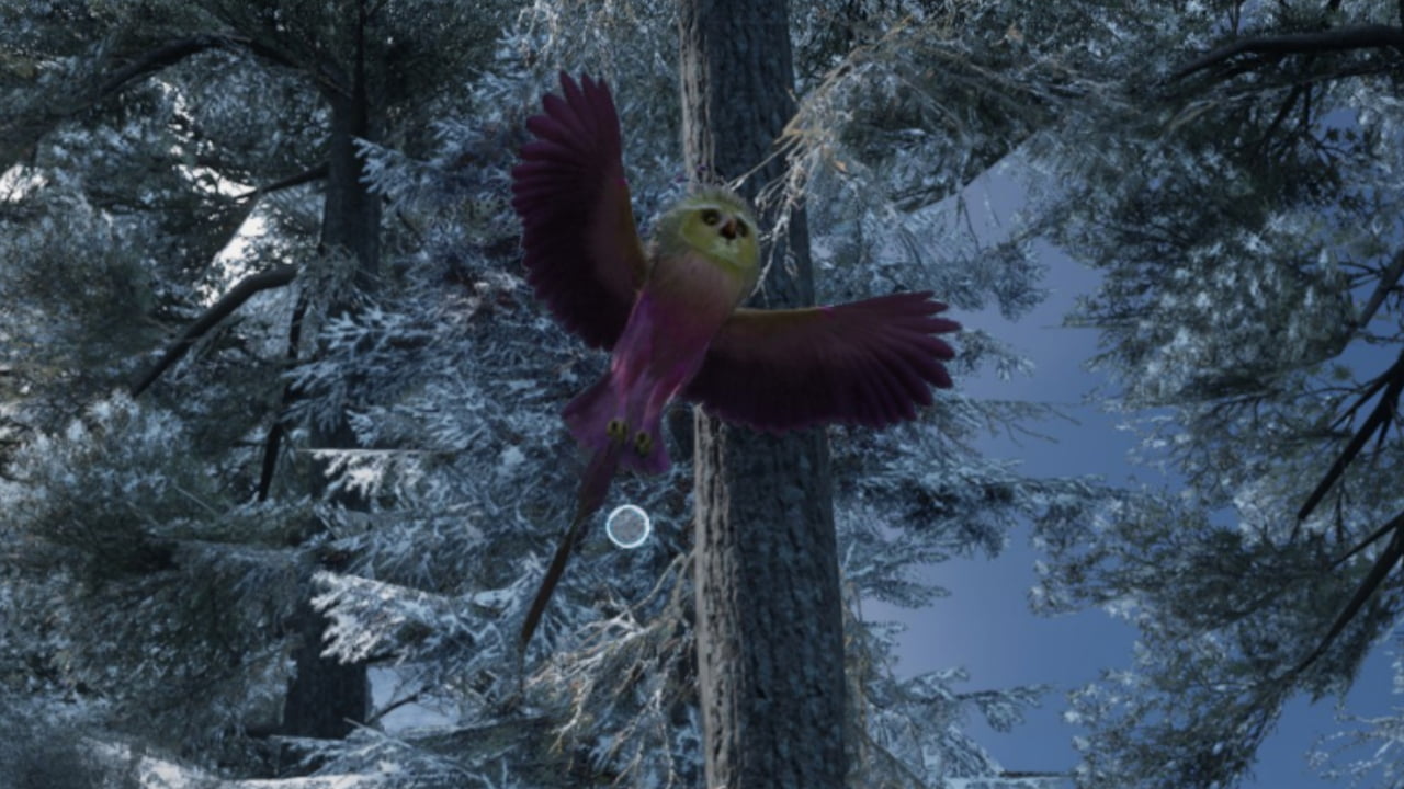 Where to Find Fwoopers in Hogwarts Legacy | Attack of the Fanboy