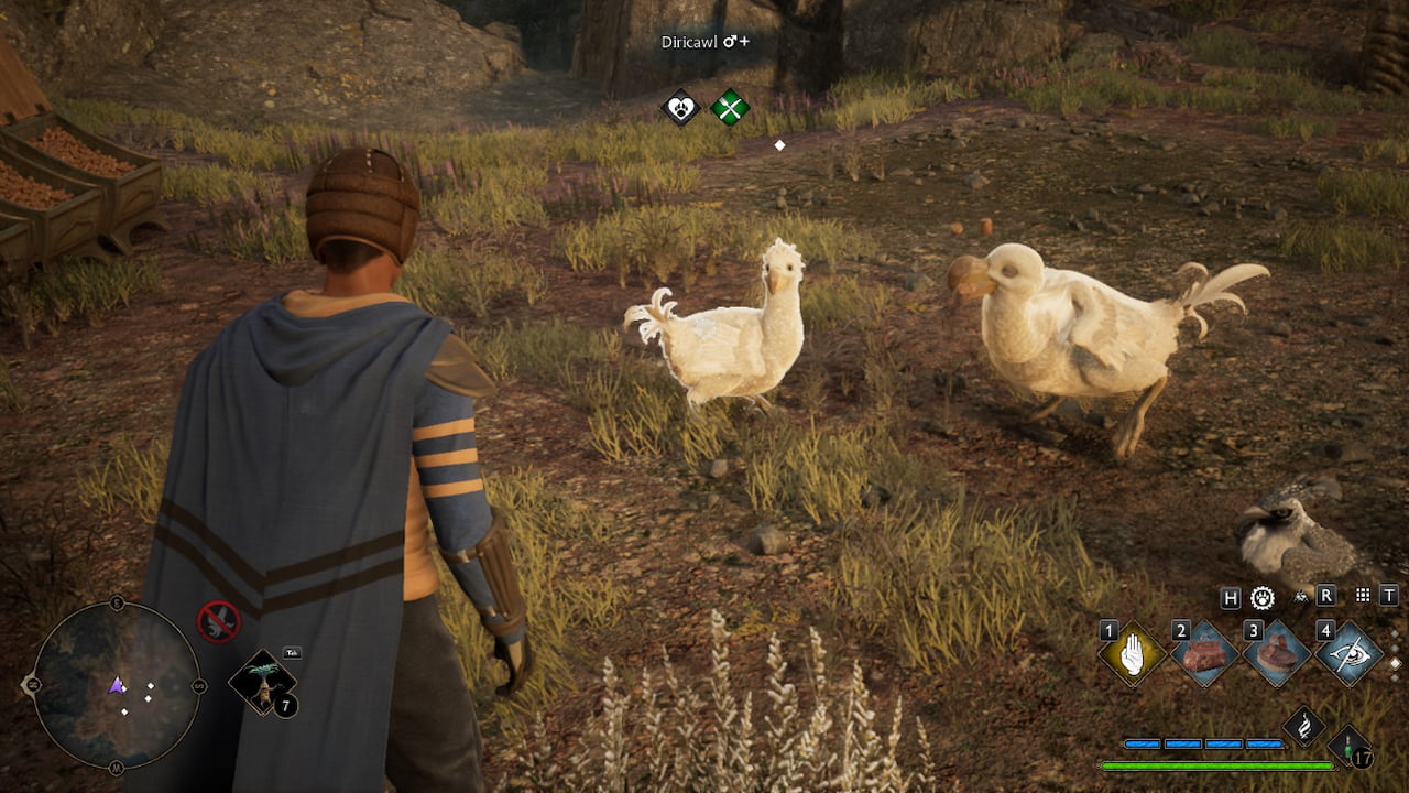 Where to Find a Diricawl in Hogwarts Legacy | Attack of the Fanboy