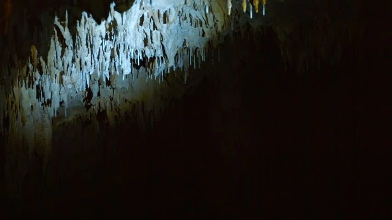 All Backrooms Monsters and Entities for every level | Attack of the Fanboy