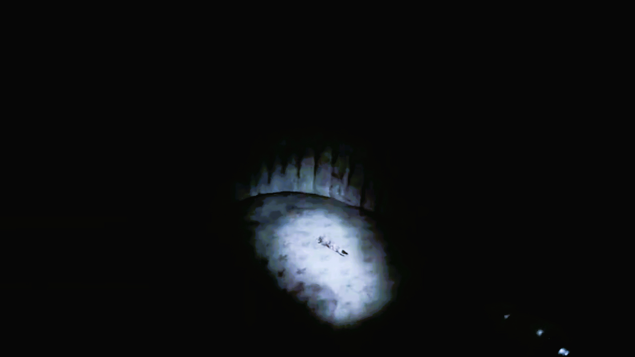 All Demonologist Finger Locations | Attack of the Fanboy