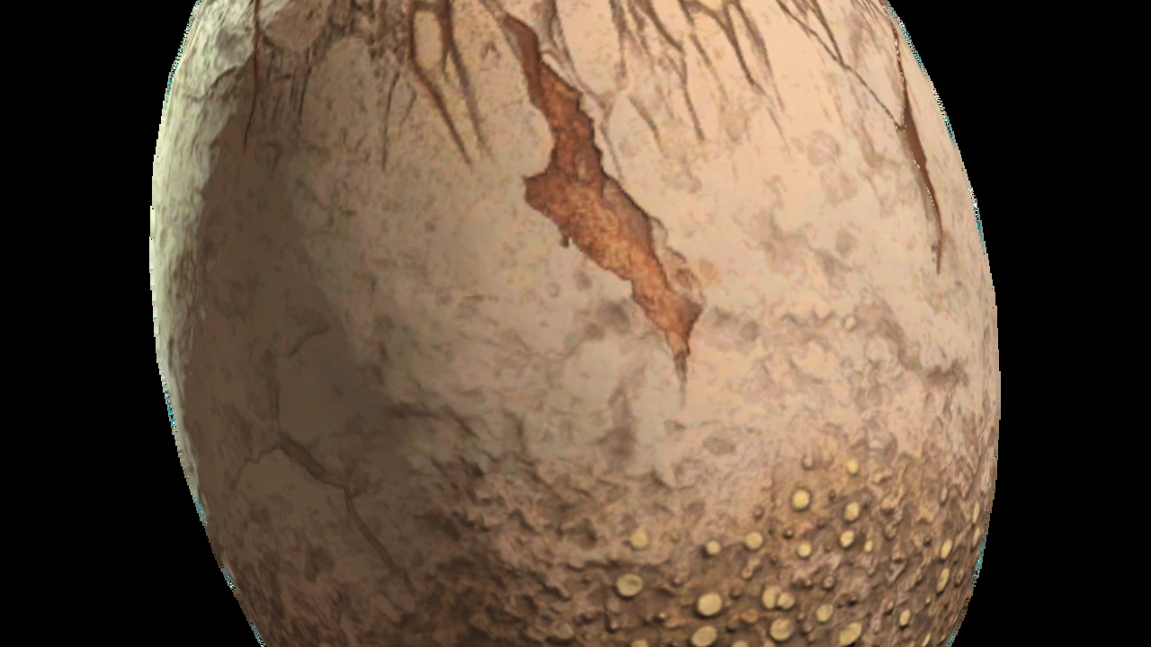 Where to Find Mirelurk Eggs in Fallout 76 | Attack of the Fanboy