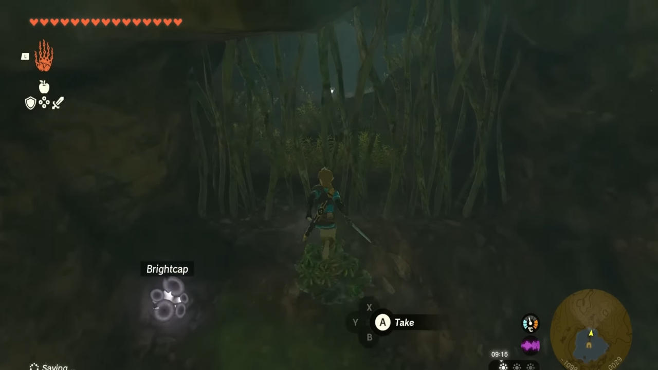 How to get Fierce Deity Armor Set in Zelda Tears of the Kingdom (TOTK ...