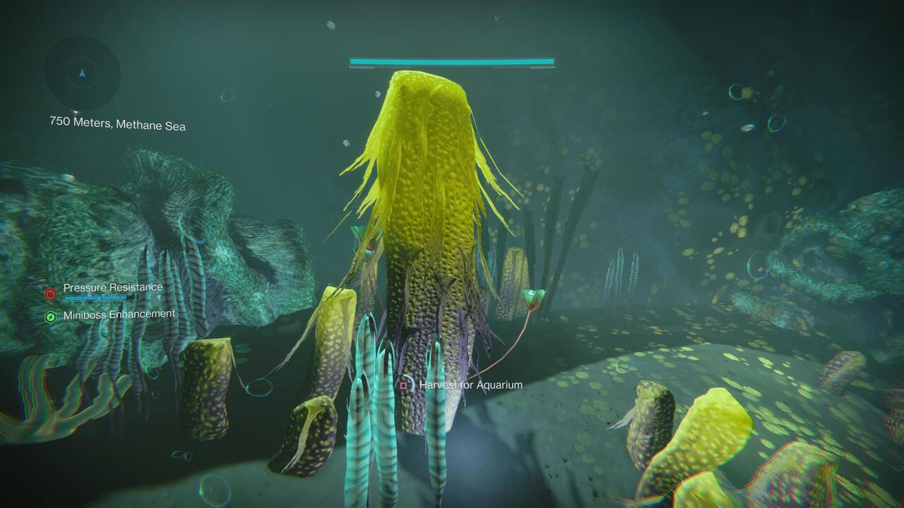 Destiny 2 Aquarium Vivarium Triumph Guide: All Plant and Flora ...