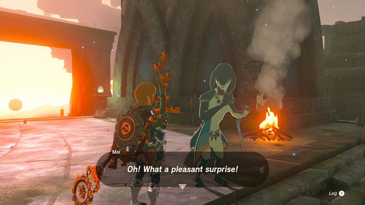 Zelda Tears of the Kingdom (TOTK) Fronk Wife Location: A Wife Wafted ...