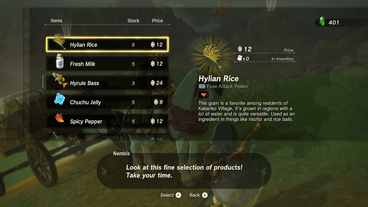 Where to Get Hylian Rice in Zelda Tears of the Kingdom (TOTK) | Attack ...