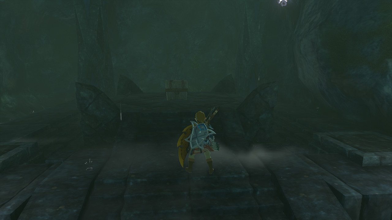Zelda Tears of the Kingdom (TOTK) Zora Greaves Location: A Token of ...