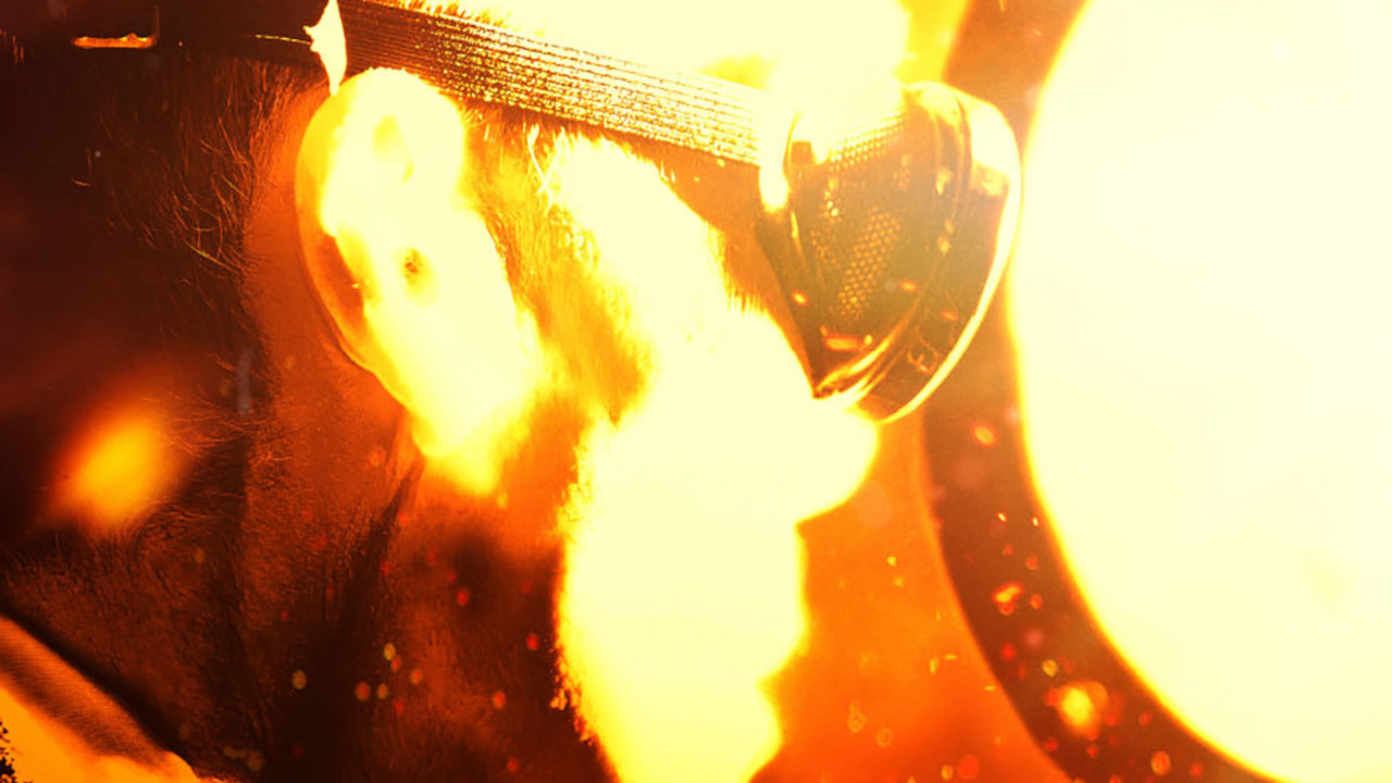 Oppenheimer in IMAX, 70mm, Film, Dolby, Digital: Best Way to See ...