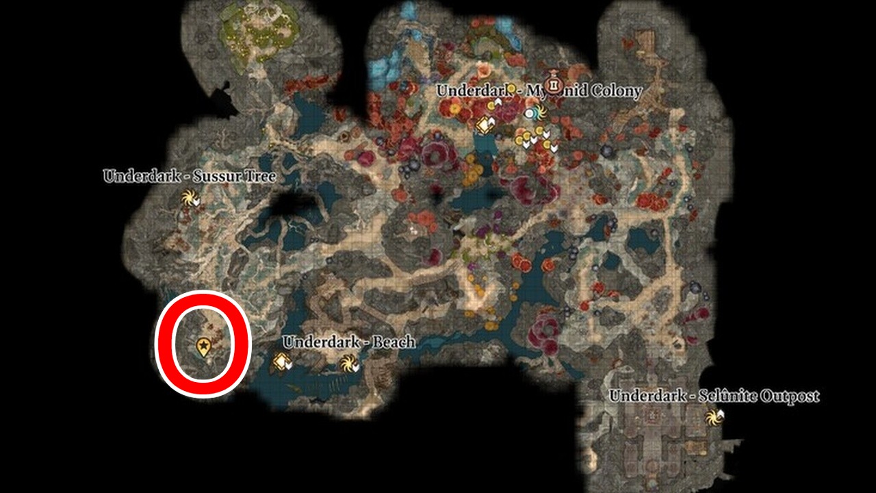 Where to Get the Dog Collar in Baldur's Gate 3 and What Is It For? | Attack of the Fanboy