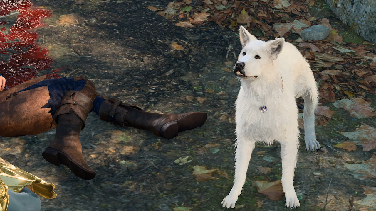Baldur’s Gate 3 Pets: How to Adopt Scratch the Dog and the Owlbear Cub ...