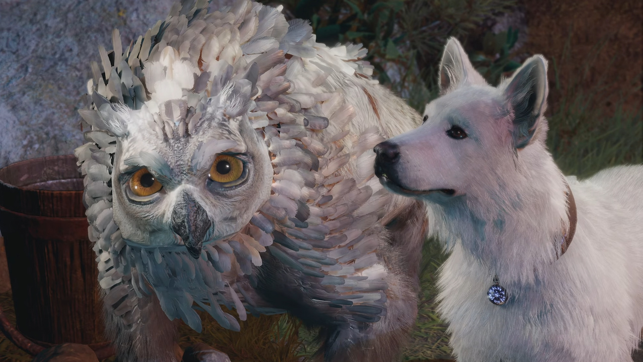 Baldur’s Gate 3 Pets: How to Adopt Scratch the Dog and the Owlbear Cub ...
