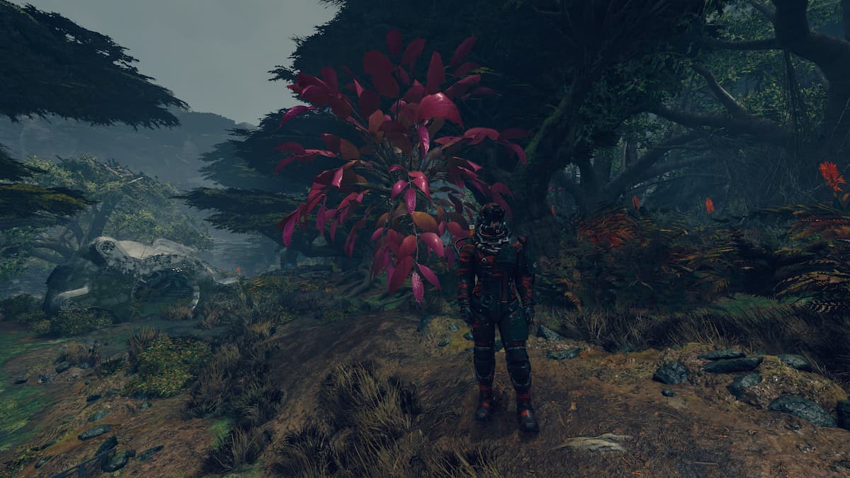 Starfield Botany Leveling Guide | Best Places to Harvest Organic ...