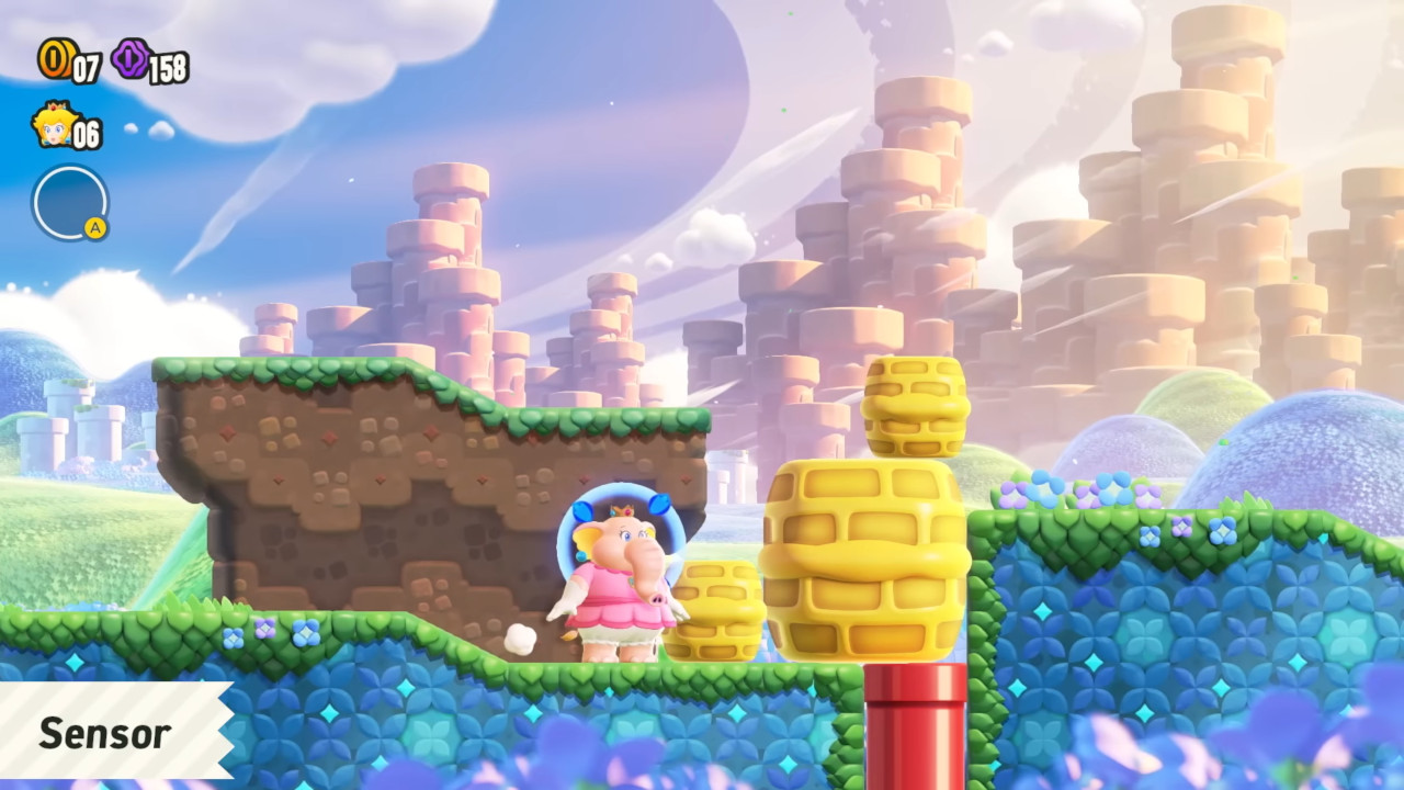 Sensor Badge Location — How to Find Hidden Objects in Super Mario Bros ...