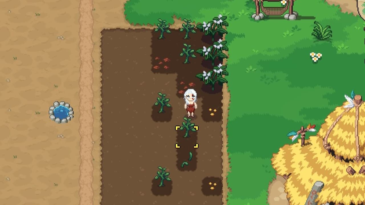 Roots of Pacha Seeds Guide: How to Grow Every Seed | Attack of the Fanboy