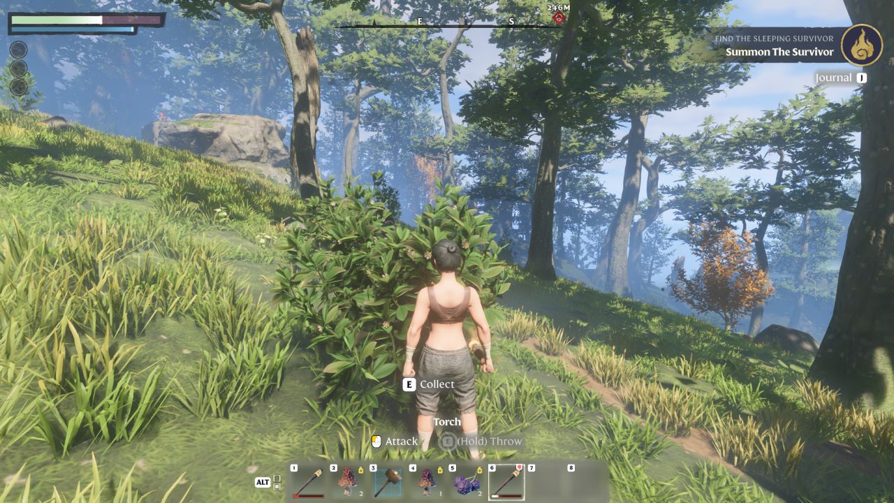 How to Get Plant Fiber in Enshrouded | Attack of the Fanboy