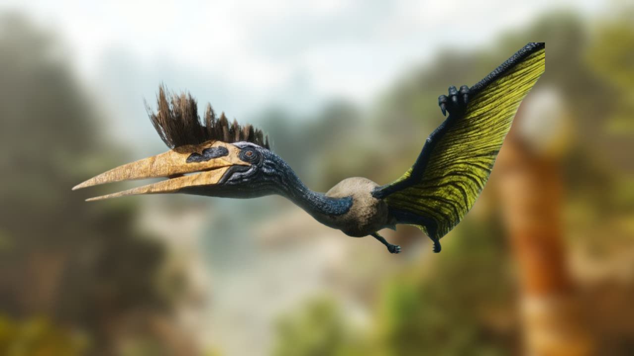 Best Quetzal Spawn Locations in ARK Survival Ascended | Attack of the ...