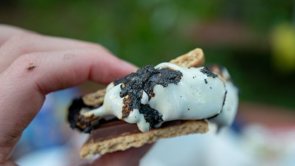Work party turns into nightmare after s'mores stand catches fire, and ...