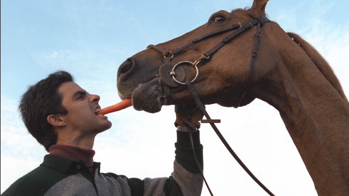 This new TikTok nightmare involves pure sugar treats formulated for ...