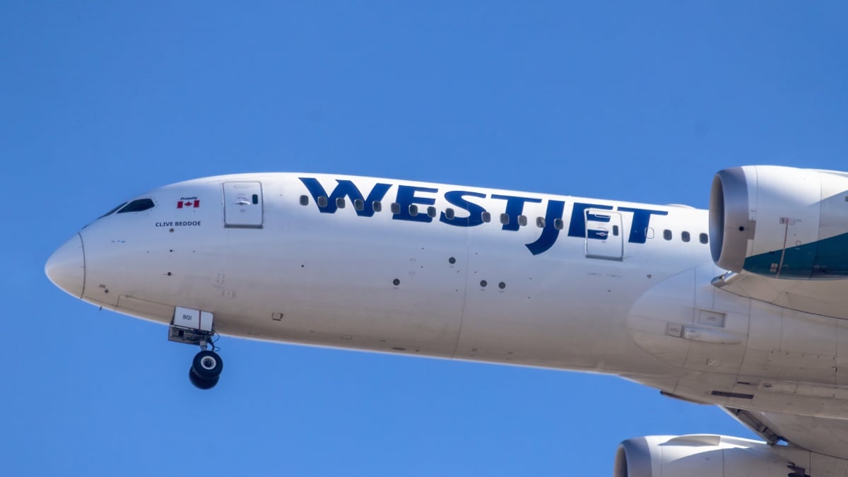Flyers slam WestJet after video shows knees jammed into the seat ahead ...