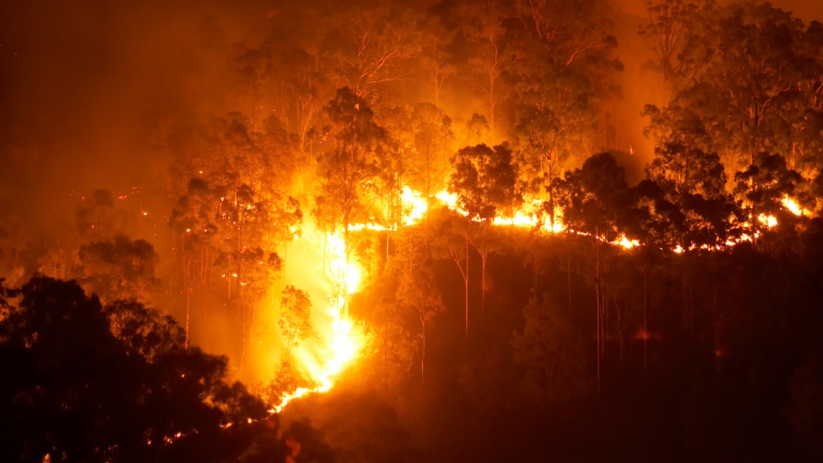 Red flag warnings sweep Oklahoma as new wildfires break out across ...