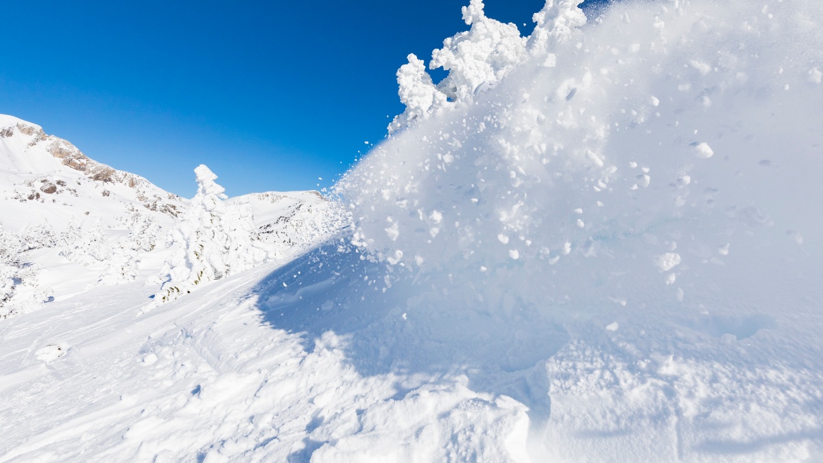 Eight skiers went missing after a massive California avalanche, then ...