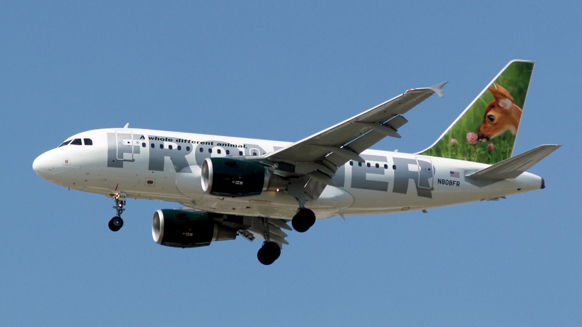 A TikTok pilot noticed one thing about a Frontier jet's flap position ...